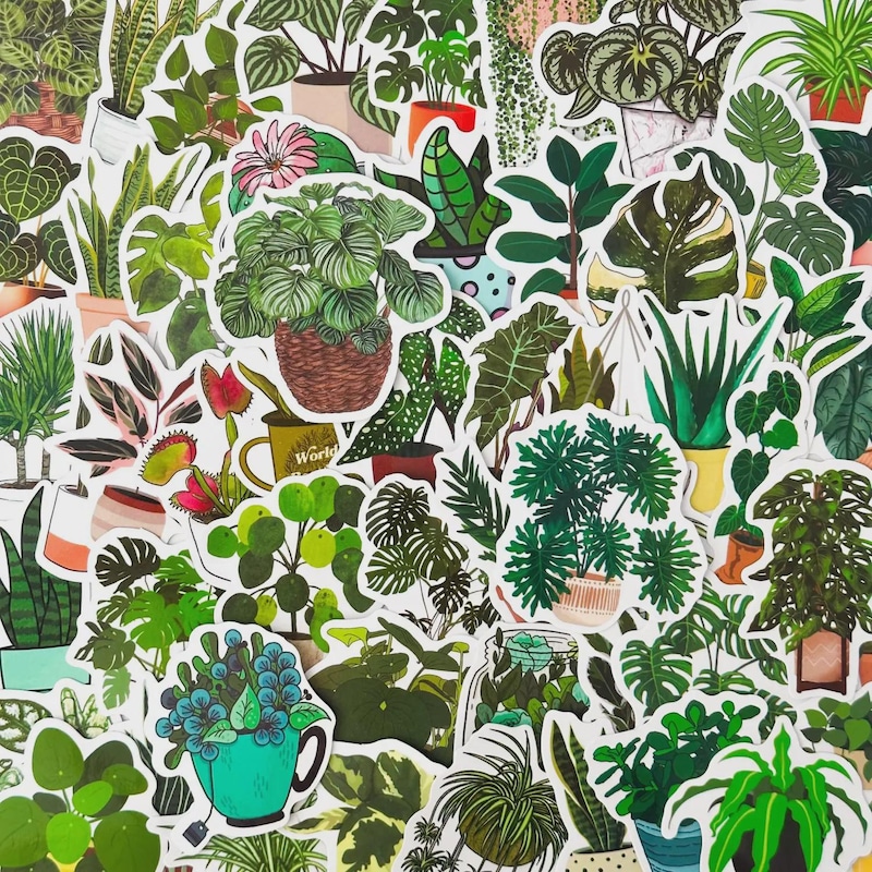 Plant Stickers - Etsy