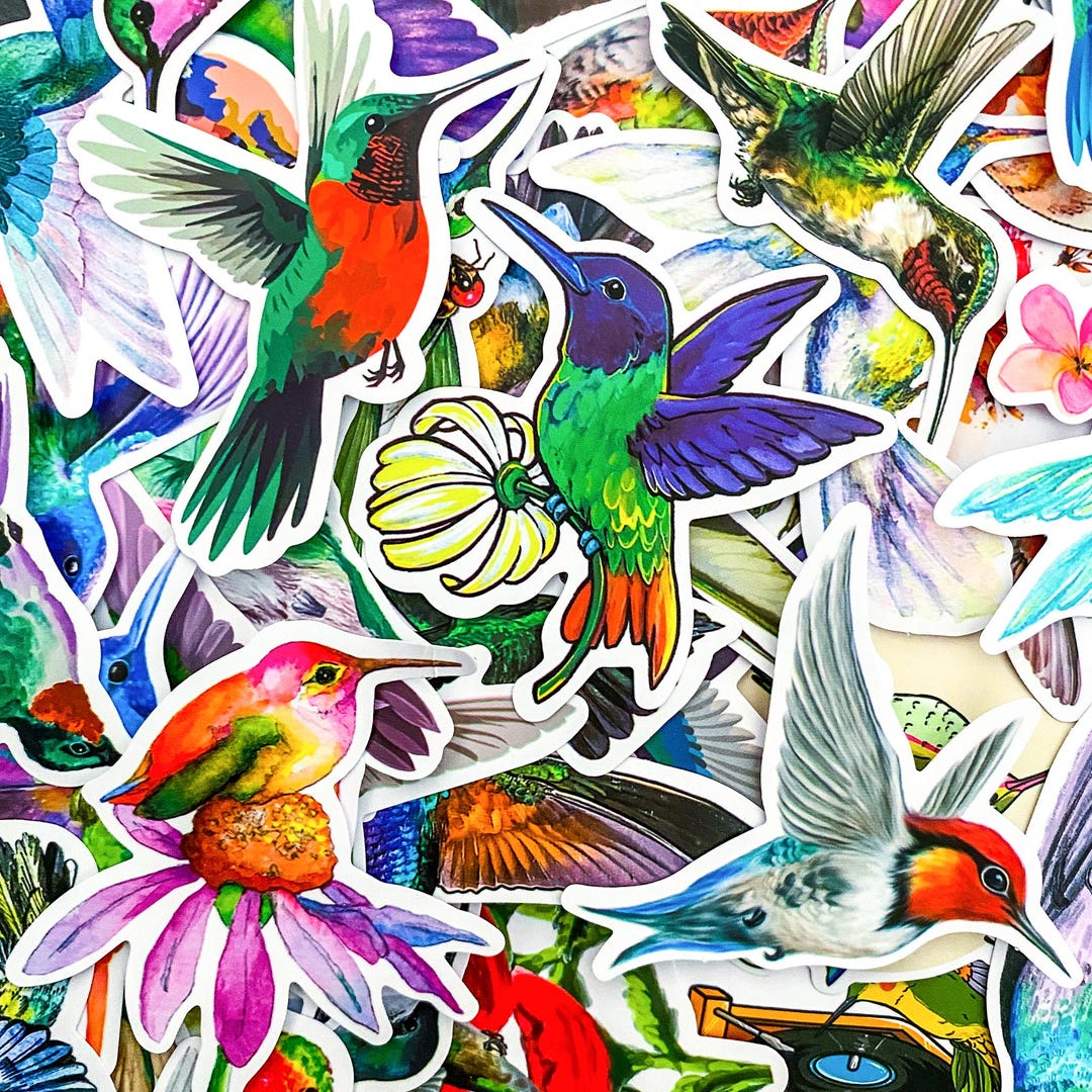 50 Random Colorful Hummingbird Stickers, Nature-inspired Stickers ...