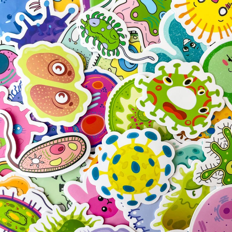 Science Stickers - Etsy