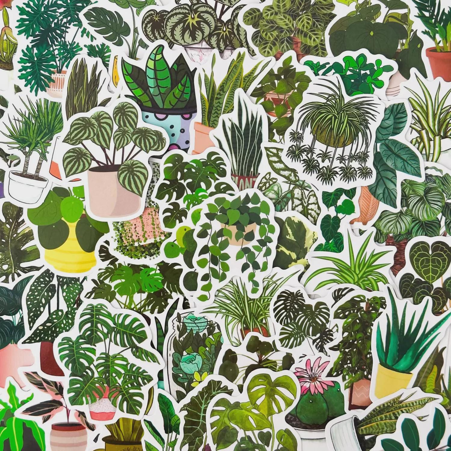50 Random Plant Stickers, Indoor Greenery Stickers, Nature Plant ...