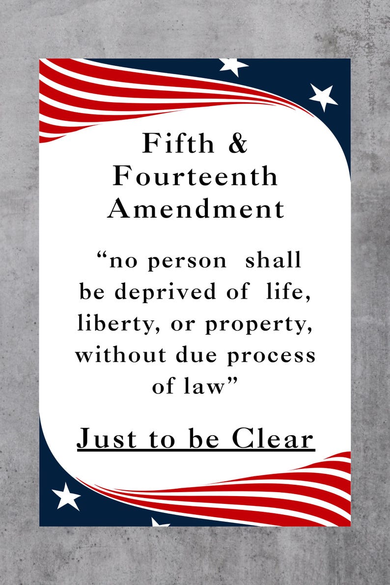 Printable Protest Sign. the Fifth and Fourteenth Amendment. Right to ...