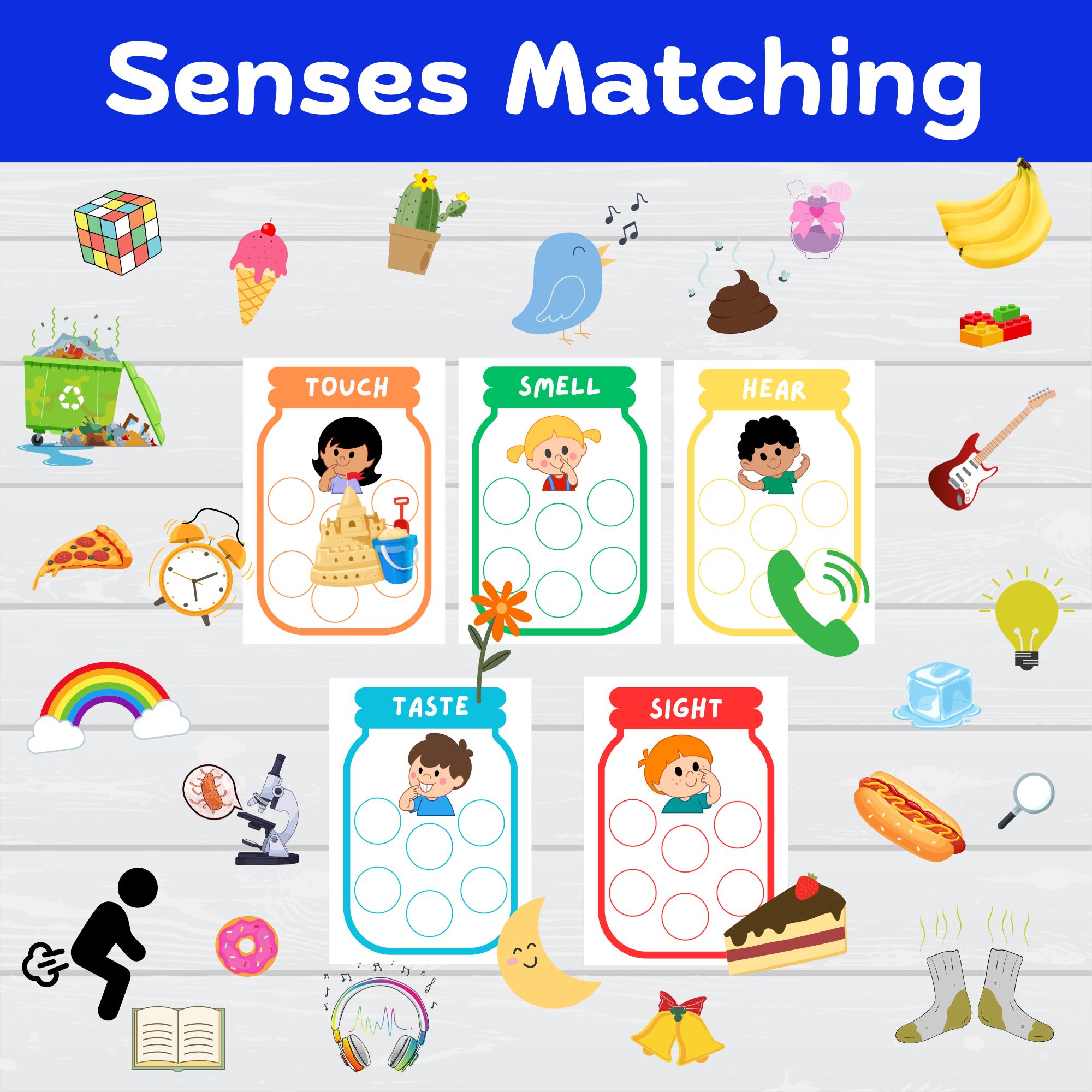 Five Senses Matching, Sorting Activity, Busy Book, Preschool Printable ...