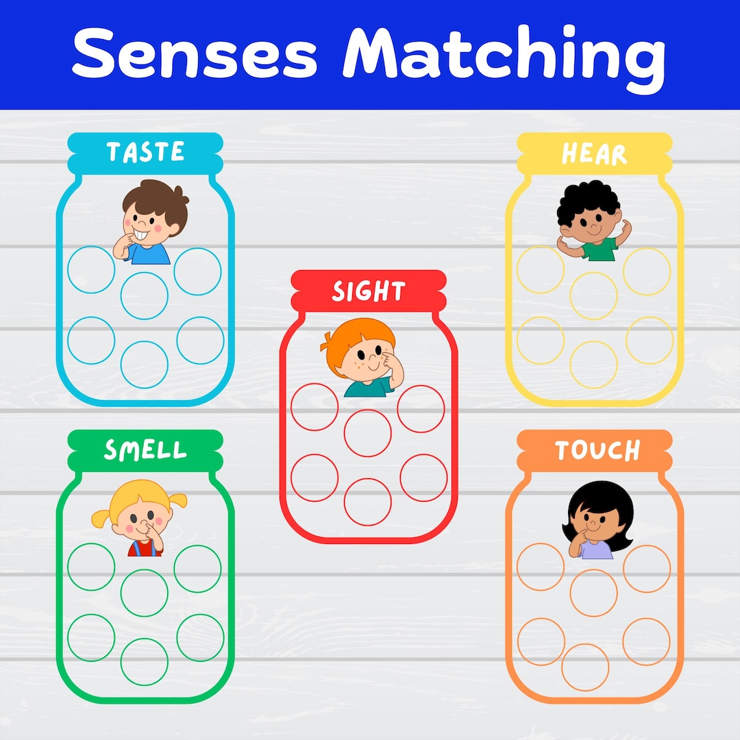 Five Senses Matching, 5 Senses Sorting Activity, Busy Book, Preschool ...