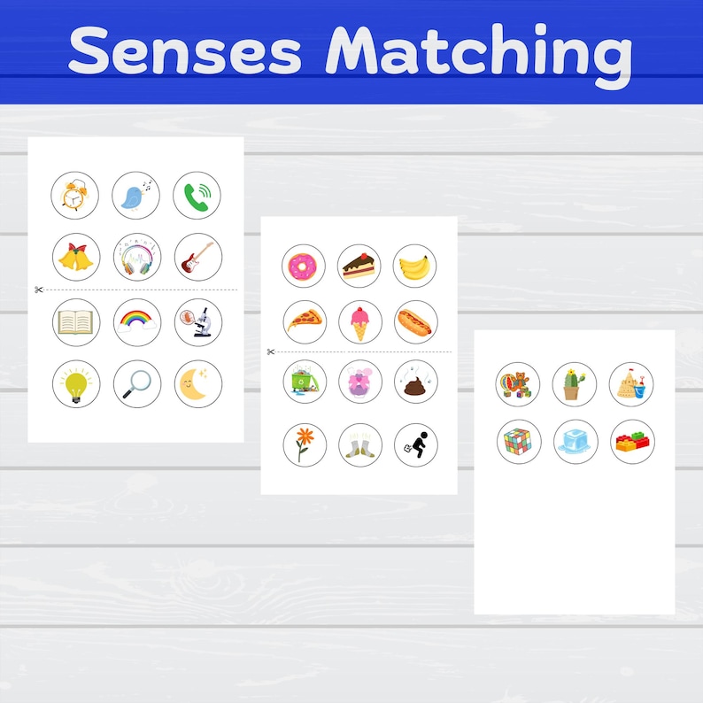 Five Senses Matching, Sorting Activity, Busy Book, Preschool Printable ...