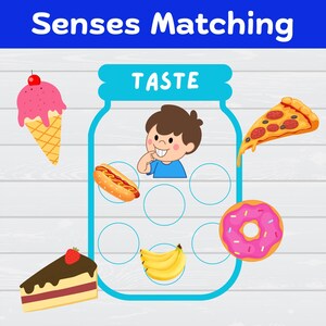 Five Senses Matching, Sorting Activity, Busy Book, Preschool Printable ...