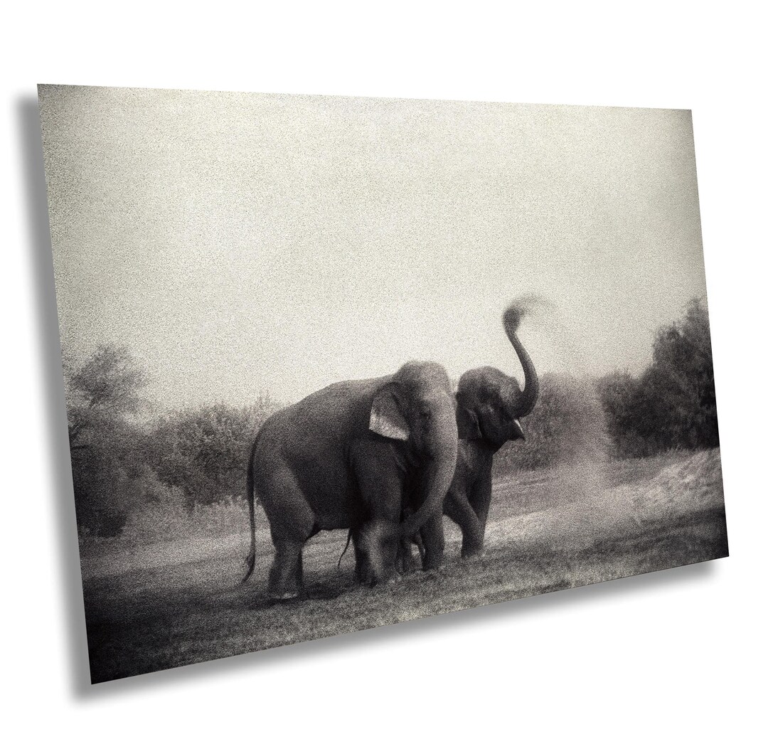 Infrared Elephant Family Art Print: Protective Giants | Wall Decor - Etsy