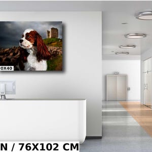 Regal Cavalier King Charles Spaniel at Irish Castle: Stunning Wall Art ...