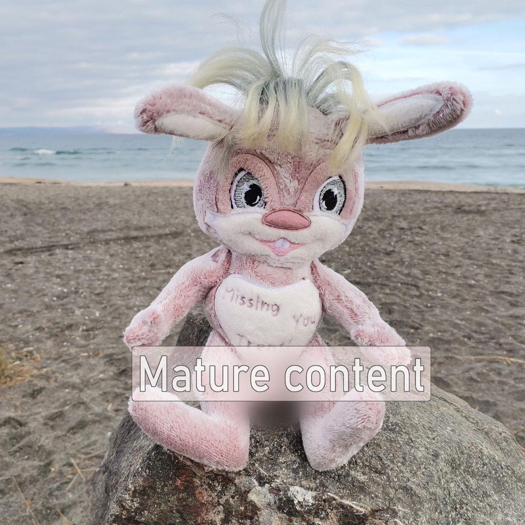 Humorous Rabbit Plush, Unique Gag Gift for Grownups, Mature Content - Etsy