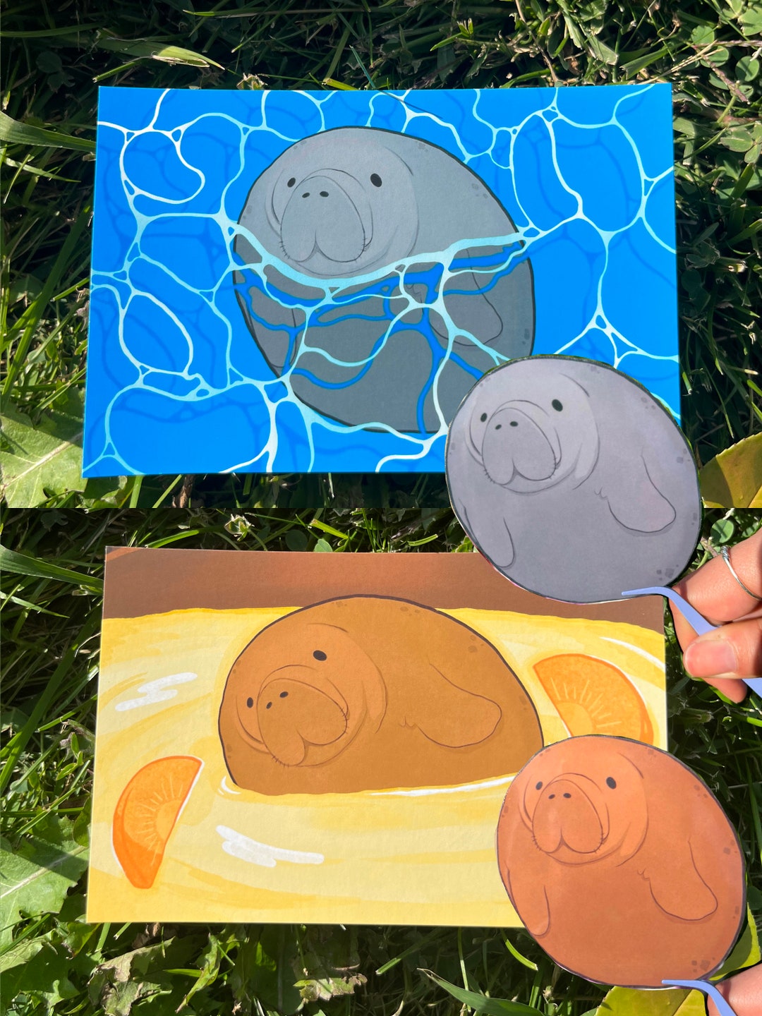 Manatee Sea Potato 4x6 Mini Art Print and Sticker I Matte Paper and ...