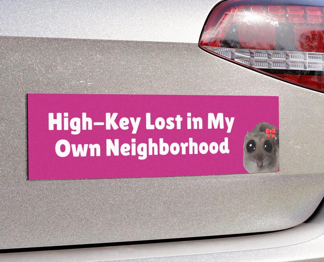 Sad Hamster Funny Car Magnet, Directionally Challenged Gift, Vehicle ...