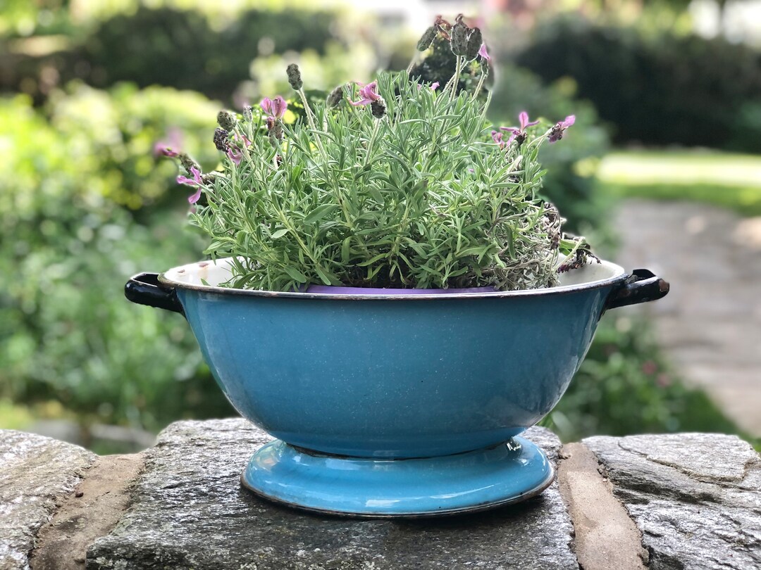 Vintage Large Enamel Basin Footed Round Wash Bowl Blue and White ...