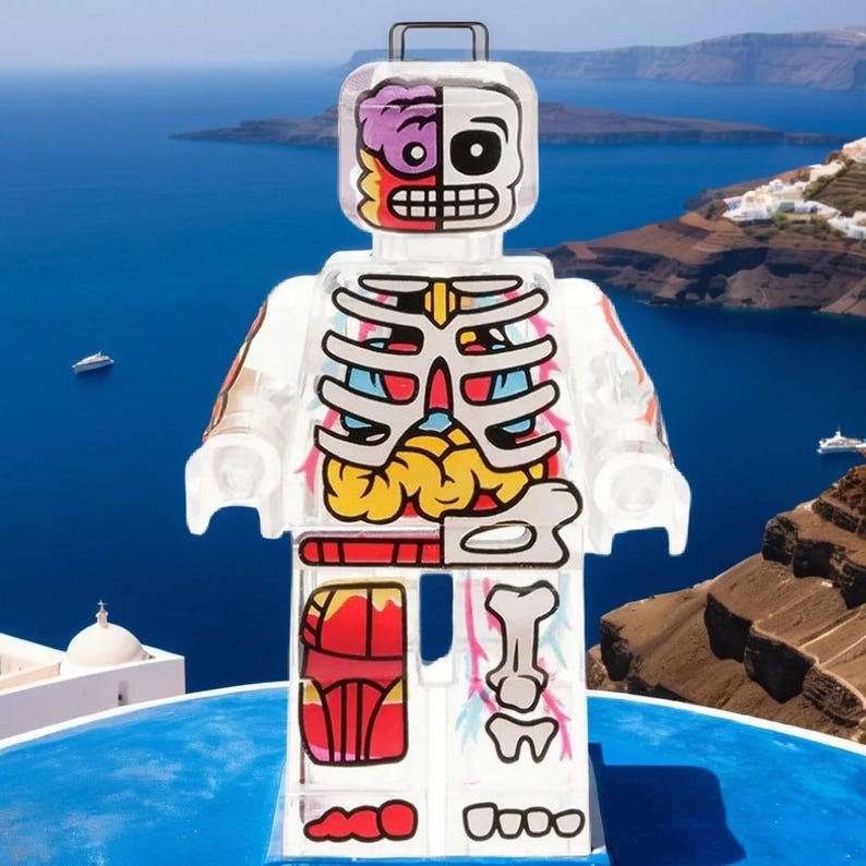 Custom Clear Skeleton Minifigure | Anatomy-themed Building Block Figure ...