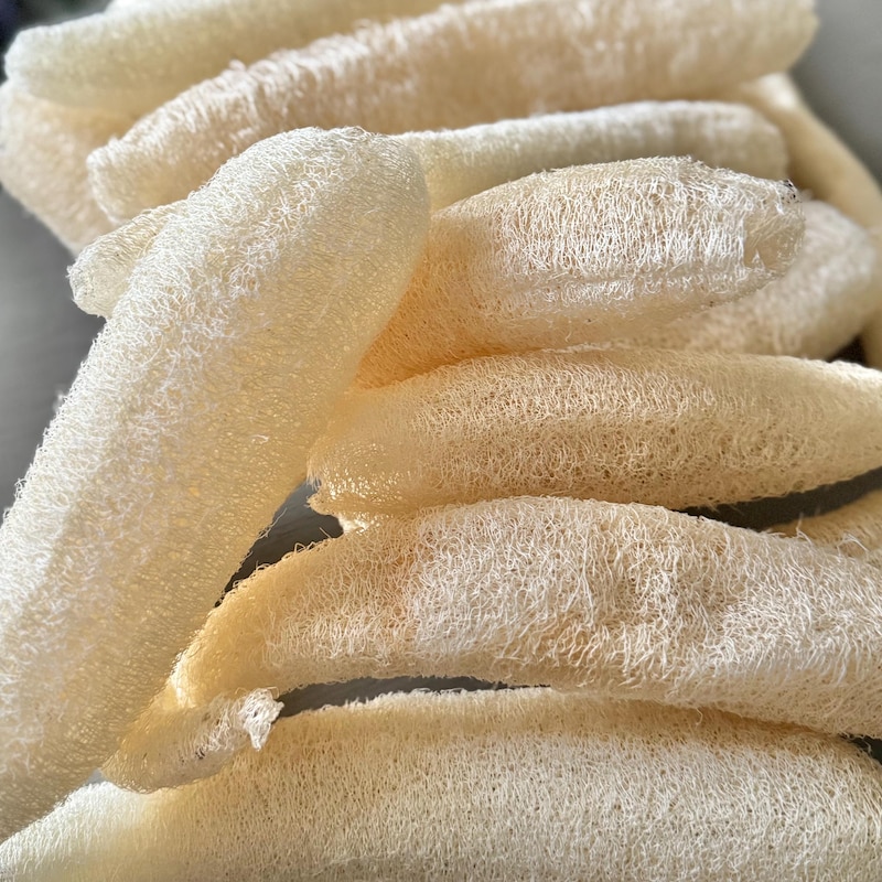 Luffa Sponge - Etsy