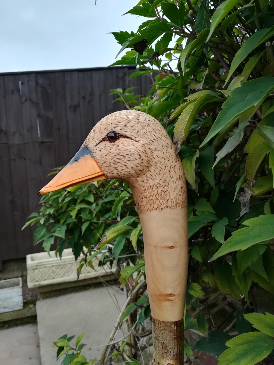 Mallard Duck Head Walking Stick - Etsy