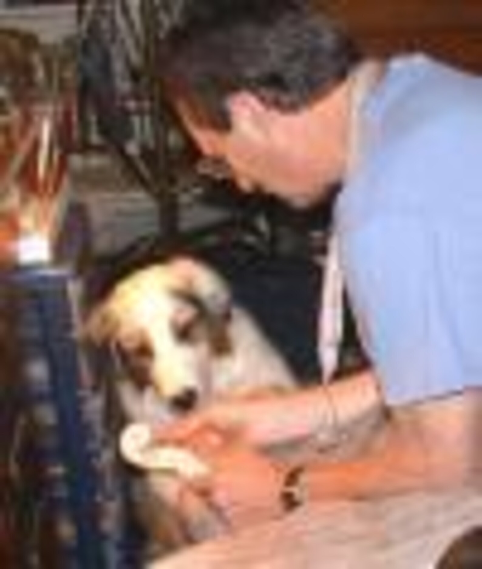 Violin Maggini Style C. 1900 Germany . in Fine Condition. Huge Discount ...