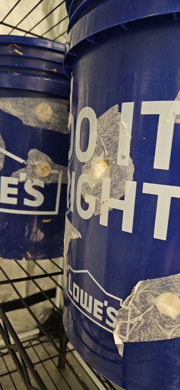 Colonized Grain Jar - Etsy