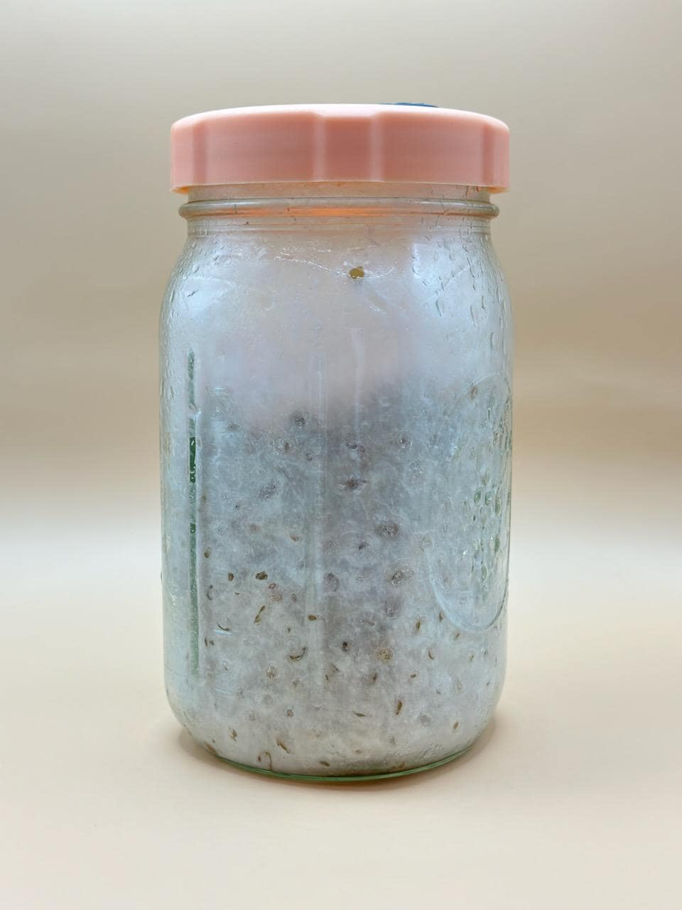 Colonized Grain Jar - Etsy
