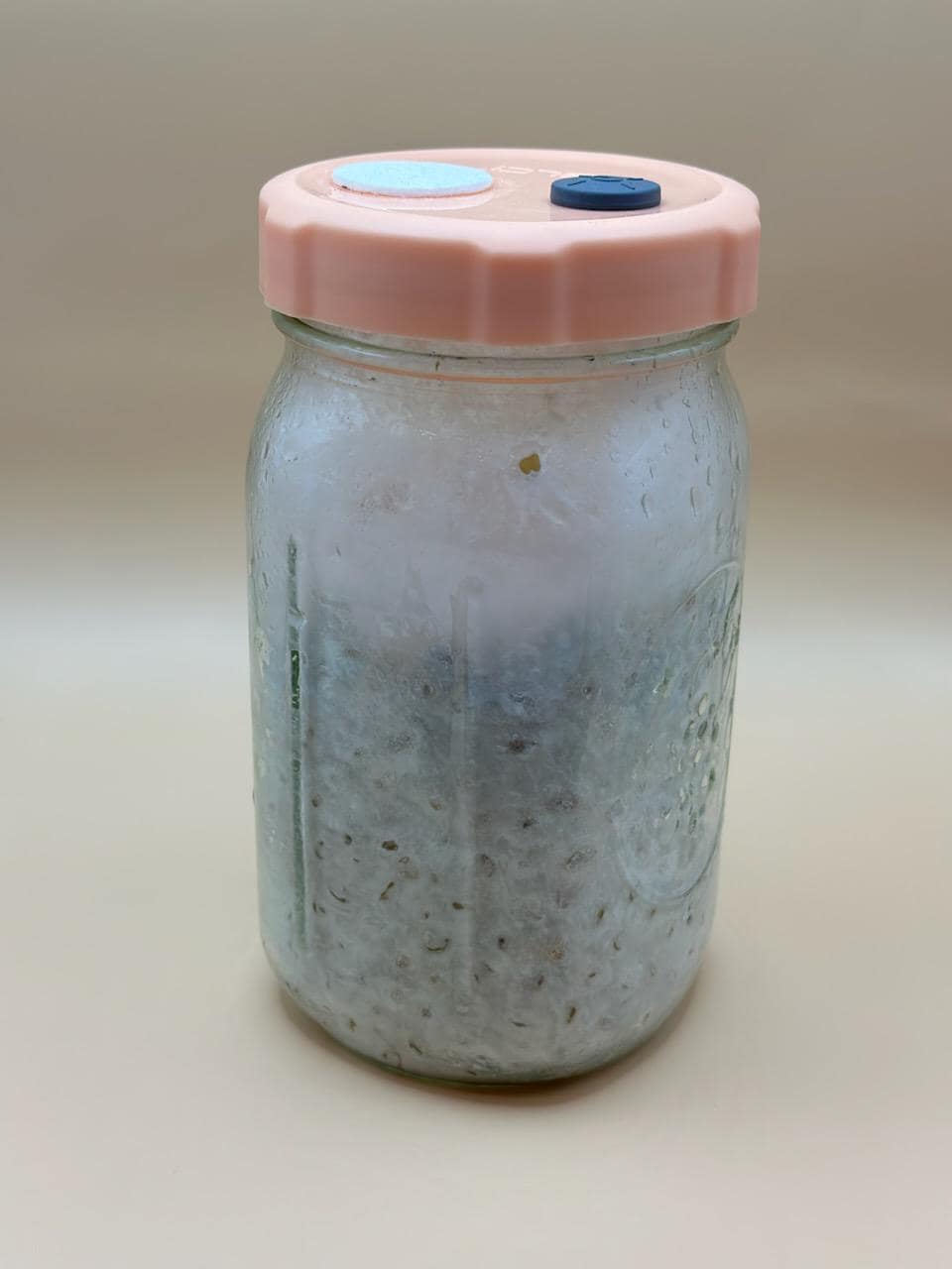 Colonized Grain Jar - Etsy