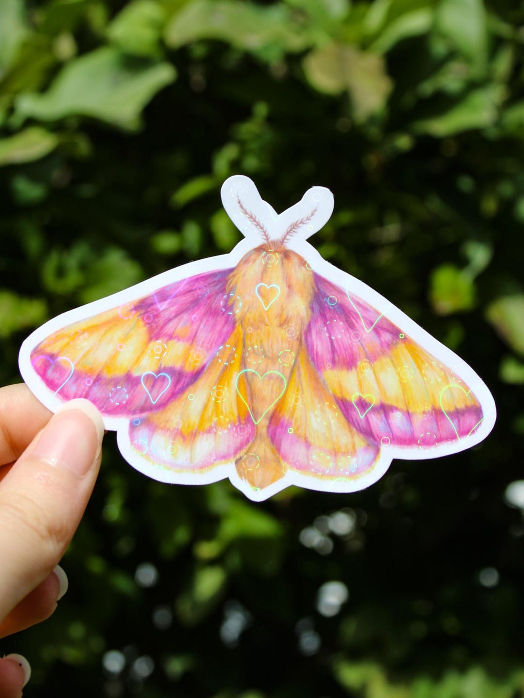 Rosy Maple Moth Holographic Hearts Vinyl Sticker | Large Die-cut, Water ...