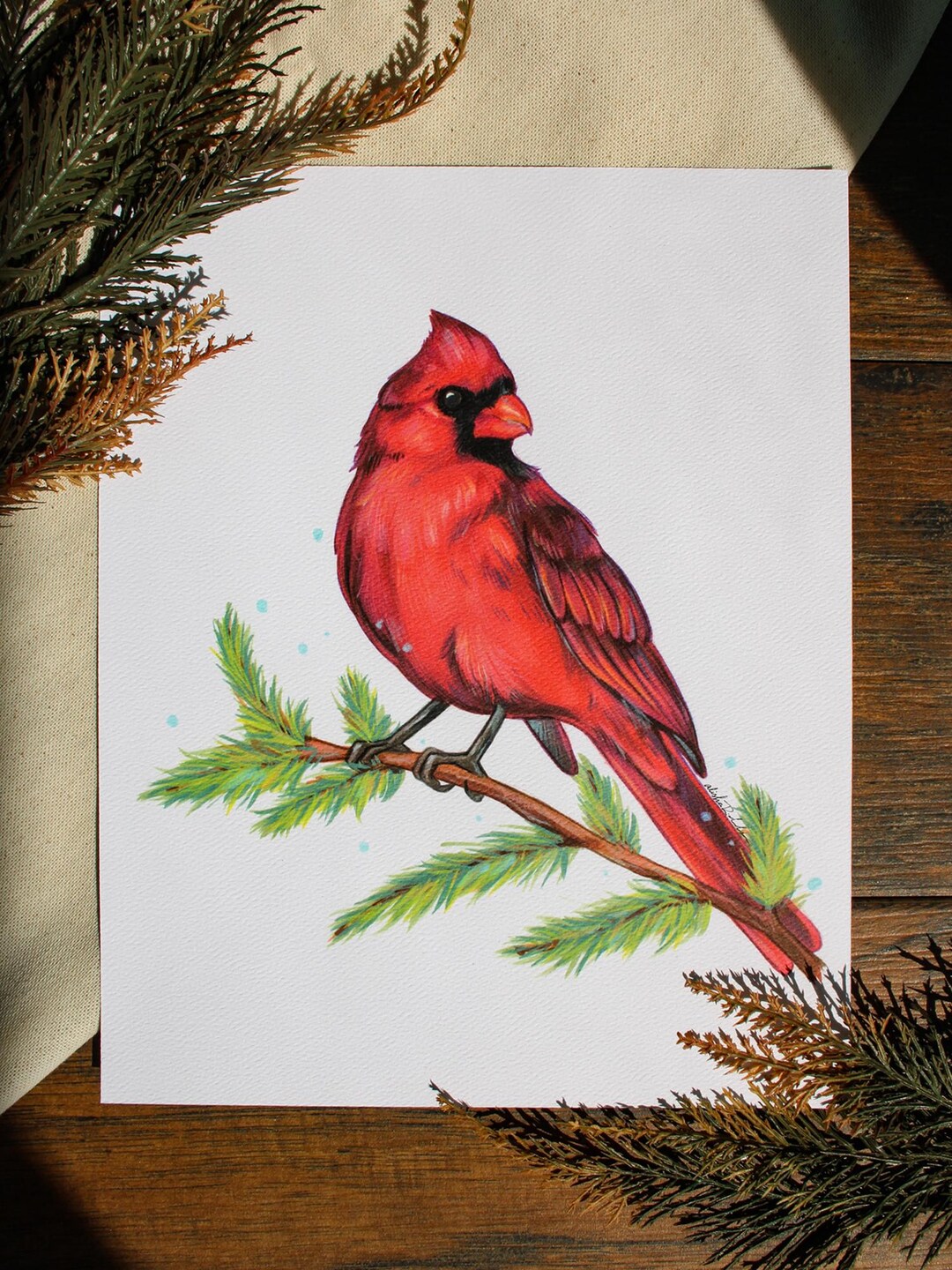Cardinal Art Print | 8x10 Bird With Pine Artwork - Etsy
