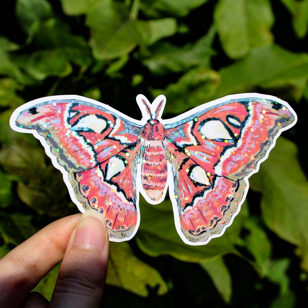 Atlas Moth Holographic Sticker | Colorful Water & UV Resistant Vinyl ...