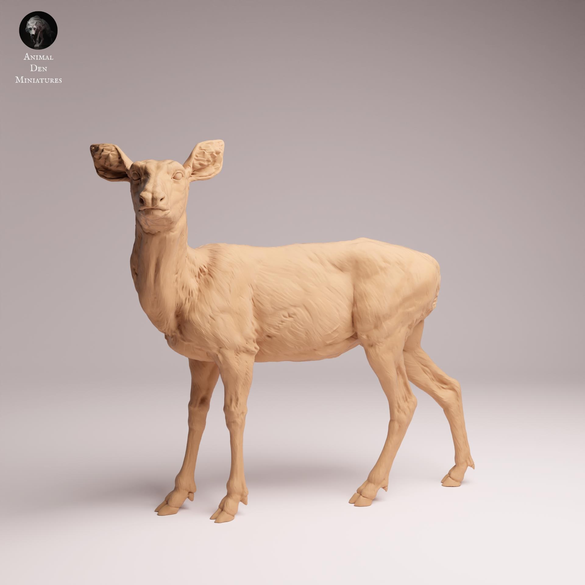 57mm Mule Deer Doe Miniature in SLA Resin – for Dioramas and Tabletop ...