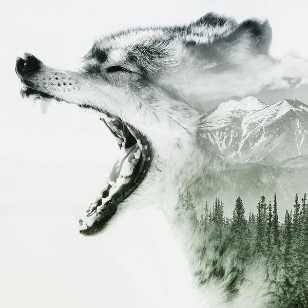 Double Exposure - Etsy