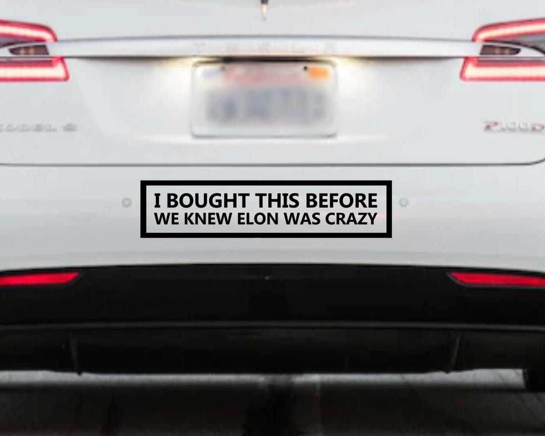 I Bought This Before We Knew Elon Was Crazy - Decal for Electric Cars ...