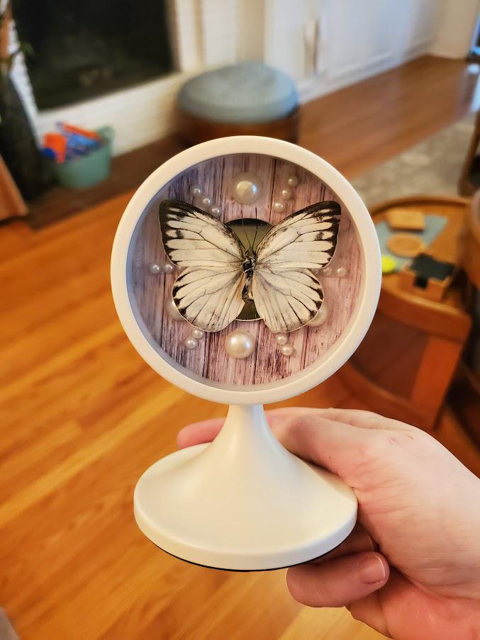 Pearl Butterfly Taxidermy Frames - Etsy