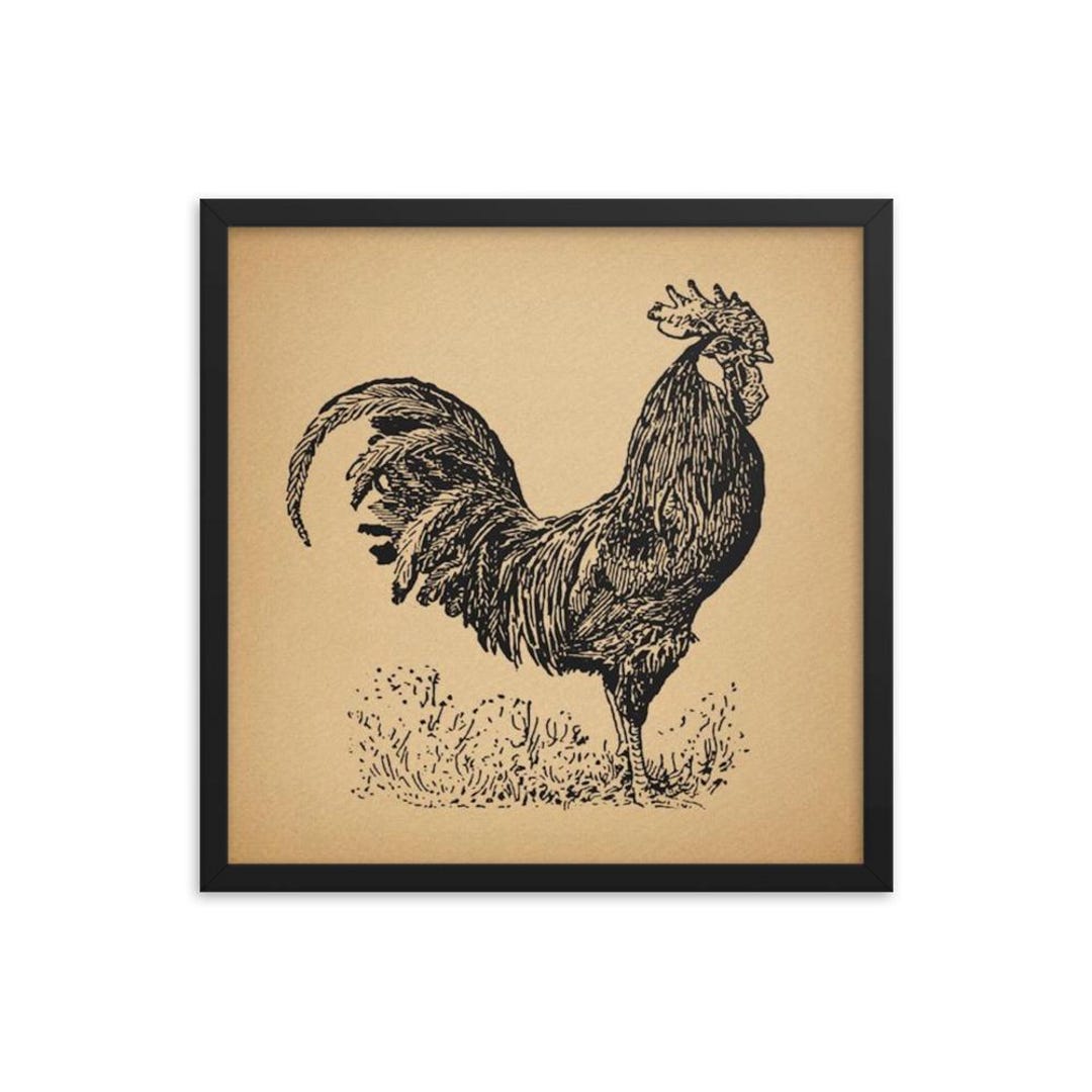 Vintage Farmhouse Country Rooster Bard Antique Illustration Engraving ...