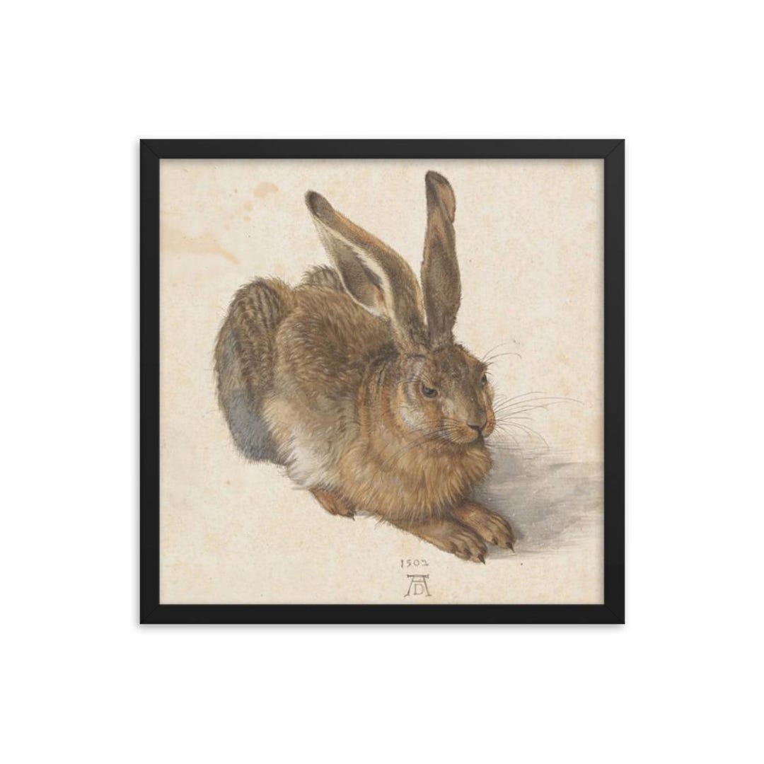 Antique Albert Durer Rabbit Print Poster - Etsy