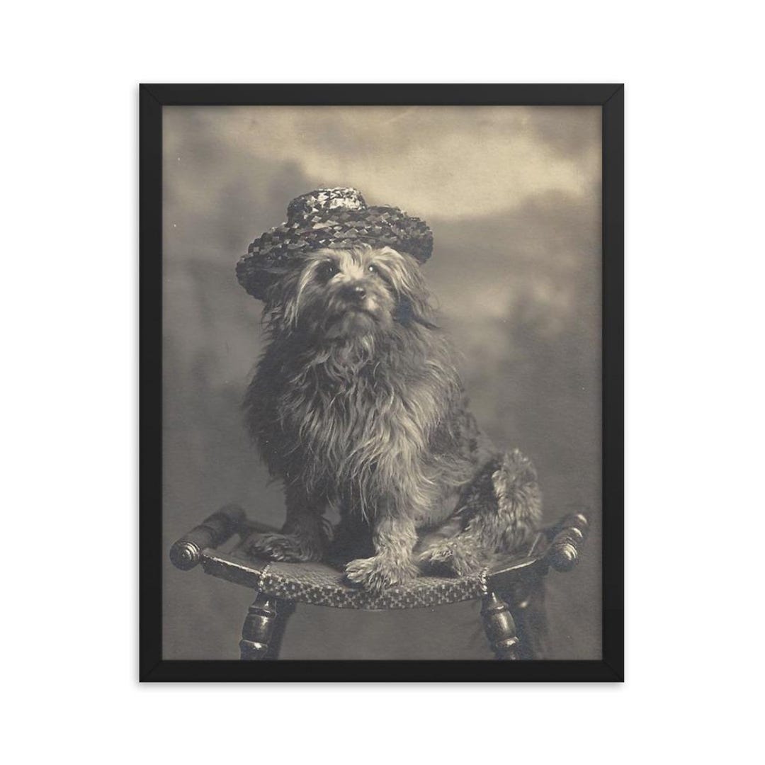 Victorian Antique Dog Photo Portrait Vintage Pet Poster Framed Print - Etsy
