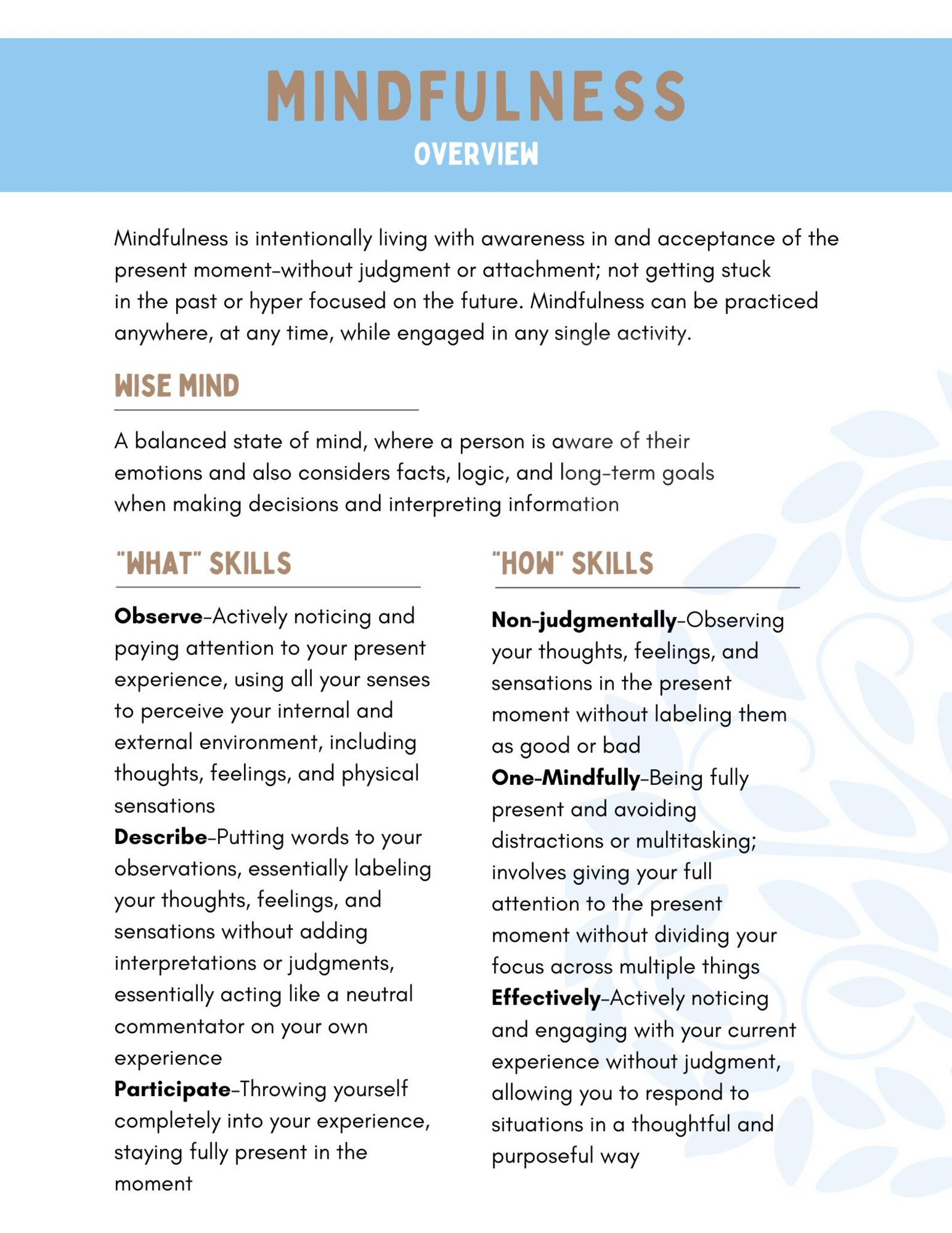 OVERVIEW of DBT for Adults - Etsy