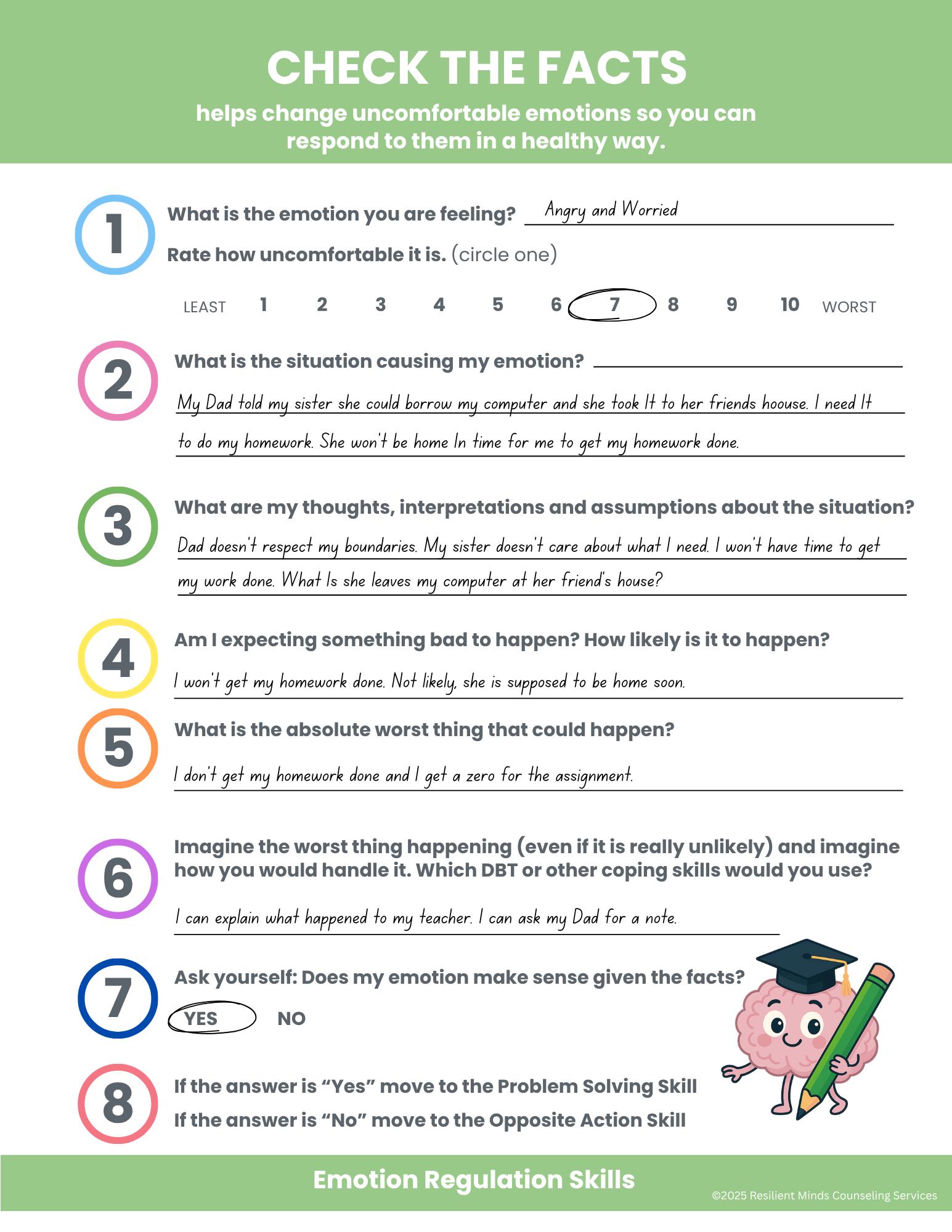 CHECK the FACTS Skill DBT for Kids - Etsy