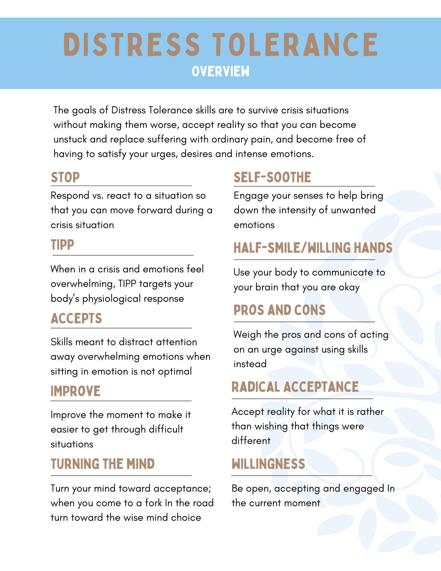 OVERVIEW of DBT for Adults - Etsy