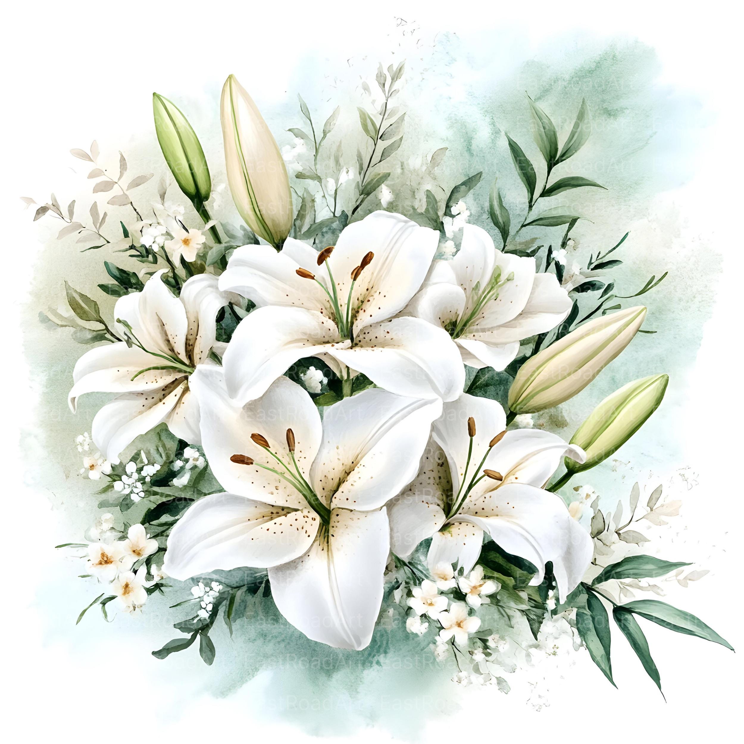 White Funeral Flowers Clipart, White Flowers, Printable Flowers, 20 ...