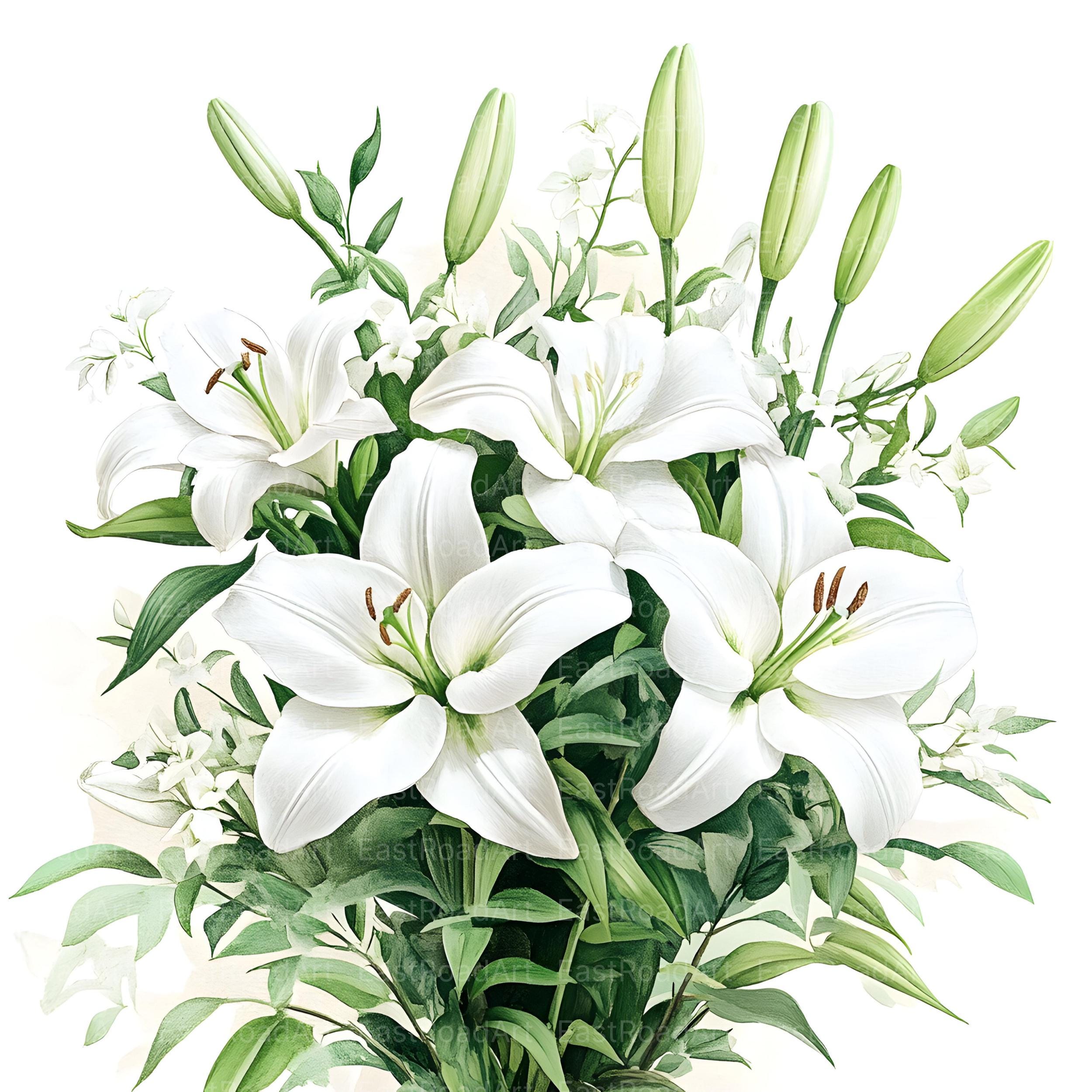 White Funeral Flowers Clipart, White Flowers, Printable Flowers, 20 ...