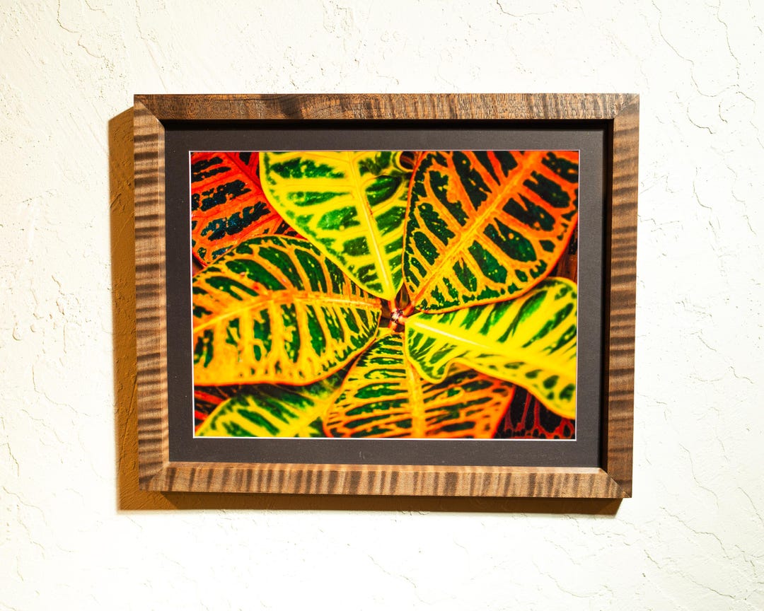 Handmade Dark Figured Maple Picture Frame, up to 13x19 - Etsy