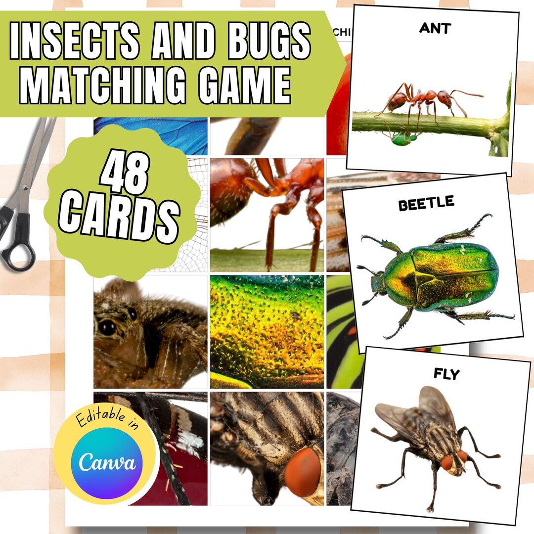 Insects and Bugs Matching Game, 48 Realistic Bug Flashcards, Montessori ...
