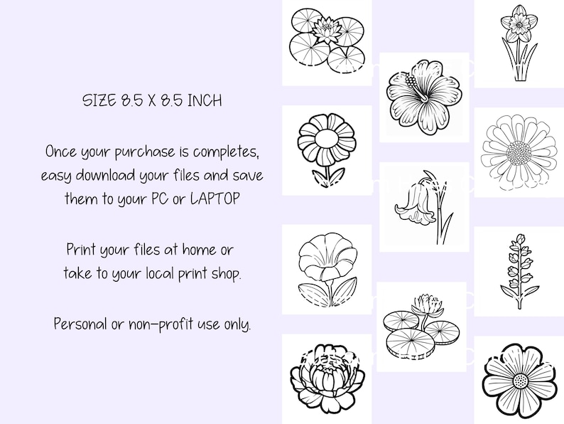 Flower Coloring Pages for Kids: Bold & Easy Art (printable PDF) - Etsy