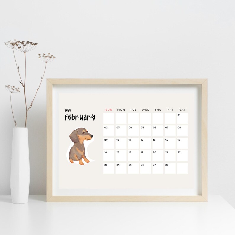Dachshund Dog Calendar 2025, Wiener Dog, Dog Lovers, Dachshund Lover ...