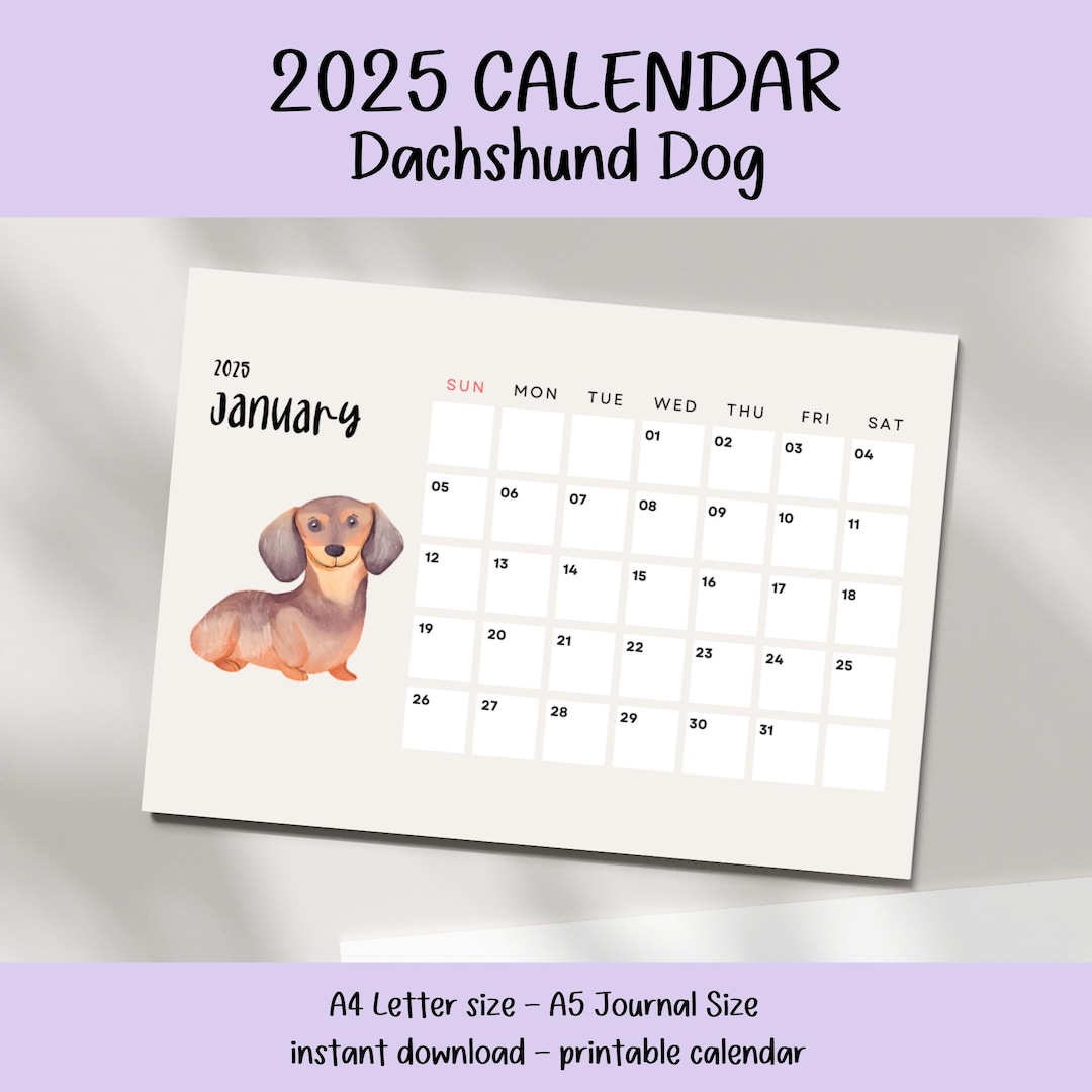 Dachshund Dog Calendar 2025, Wiener Dog, Dog Lovers, Dachshund Lover ...
