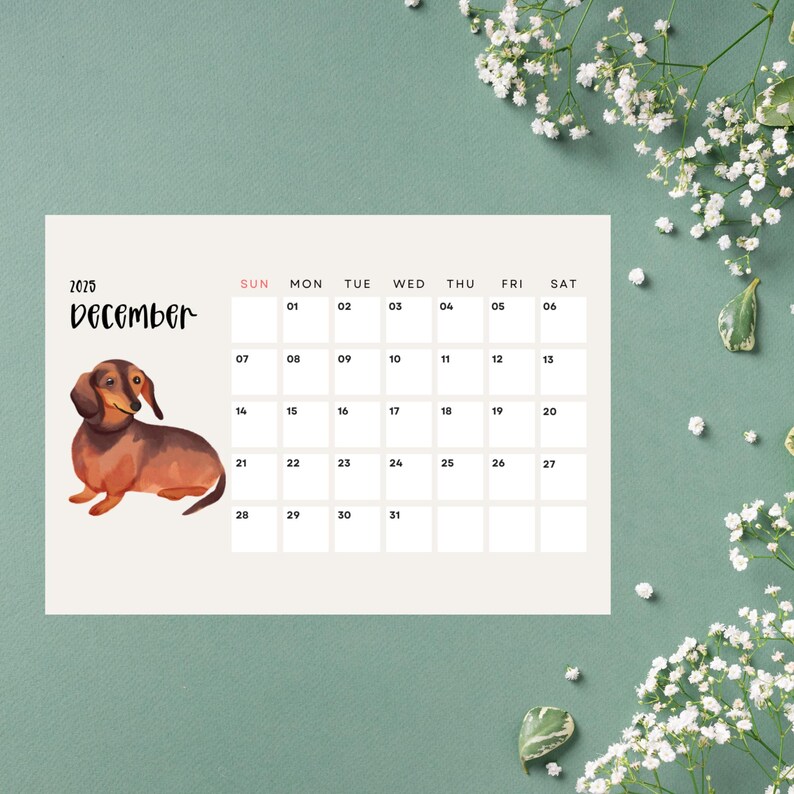 Dachshund Dog Calendar 2025, Wiener Dog, Dog Lovers, Dachshund Lover ...