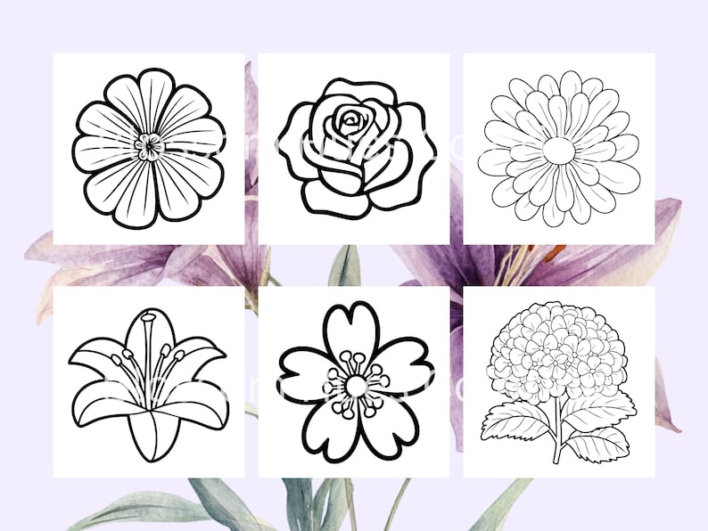 Flower Coloring Pages for Kids: Bold & Easy Art (printable PDF) - Etsy