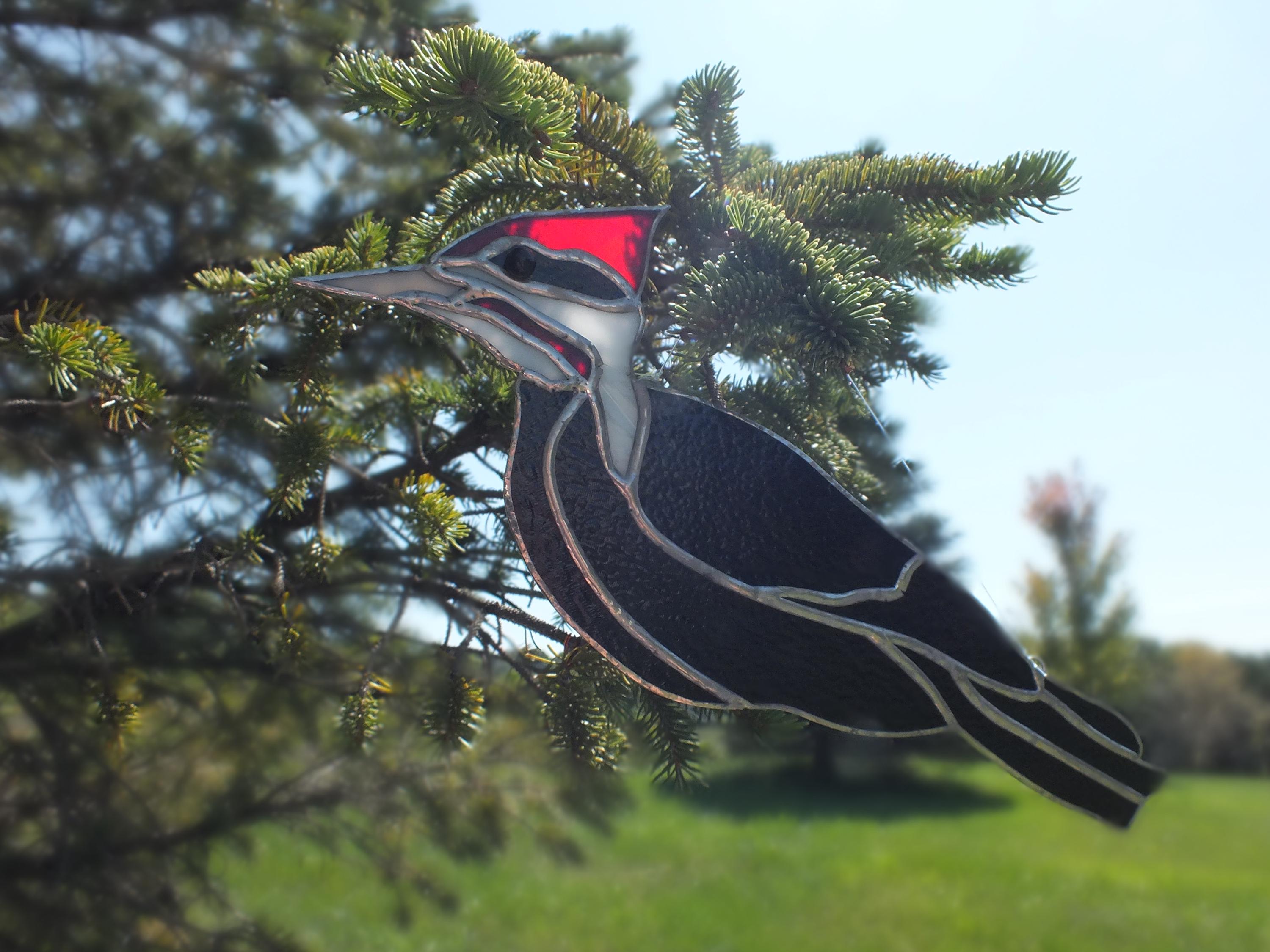 Pre-cut Stained Glass Pileated Woodpecker Kit - Etsy