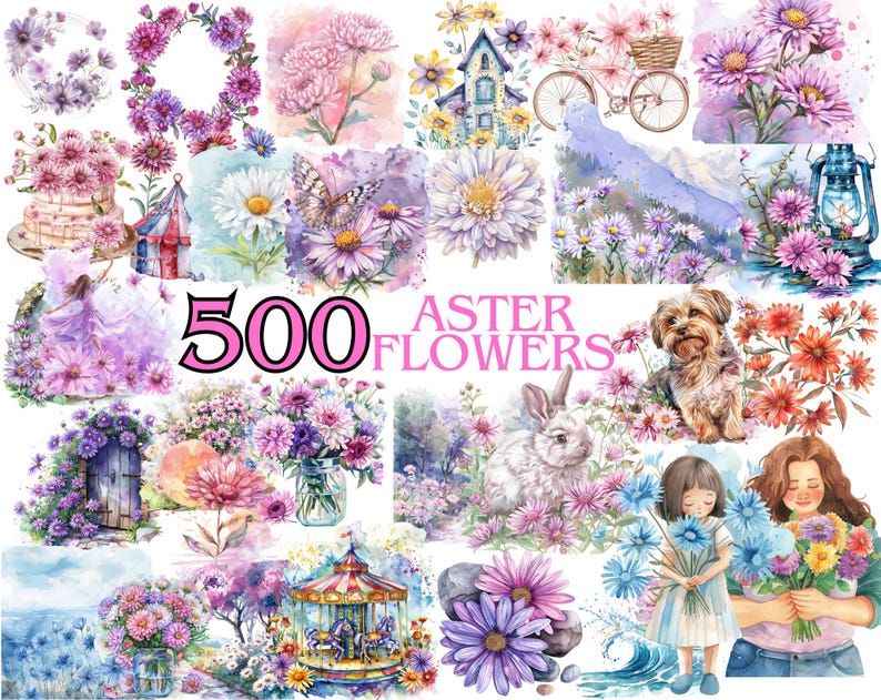 Aster Flowers Watercolor Clipart Bundle, Asters Images, Floral Graphics ...