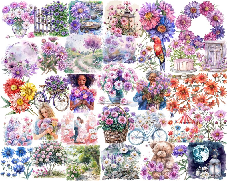 Aster Flowers Watercolor Clipart Bundle, Asters Images, Floral Graphics ...