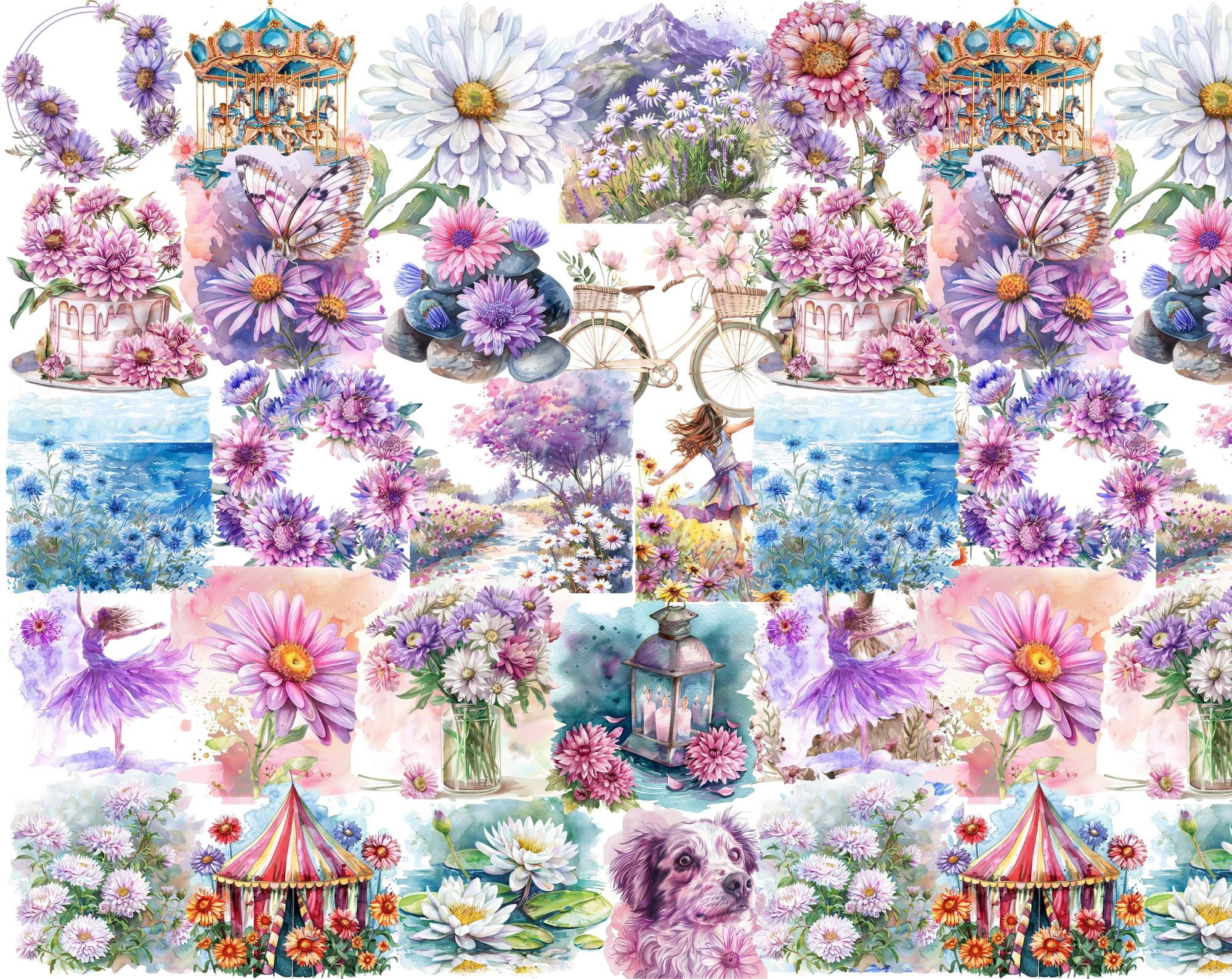 Aster Flowers Watercolor Clipart Bundle, Asters Images, Floral Graphics ...