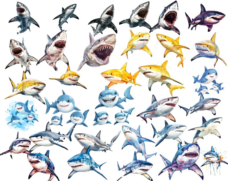Sharks Watercolor Clipart 150+ Bundle of Shark Images, Oceanic Graphics ...