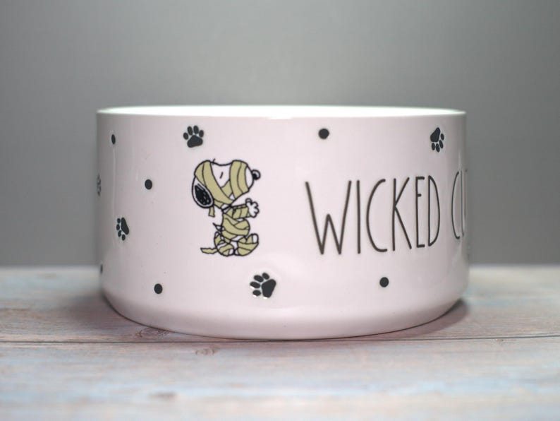 Peanuts X Rae Dunn Wicked Cute Pet Bowl Featuring Snoopy and Woodstock ...